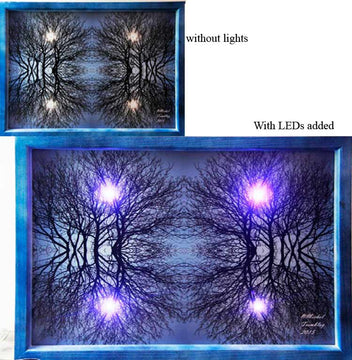 Captivating Creations: Models Enhanced with LED Brilliance – Evan Designs